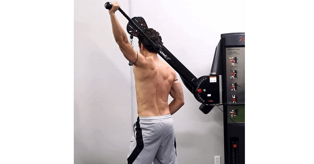 Position-Specific Hypertrophy – Overhead VS Neutral Tricep Extensions ...