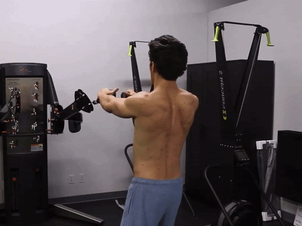 How To Do Face-Pulls With Free Weights! – Dr. Gains