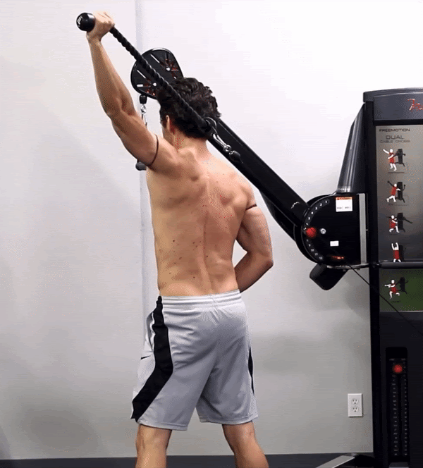 Position-Specific Hypertrophy – Overhead VS Neutral Tricep Extensions ...