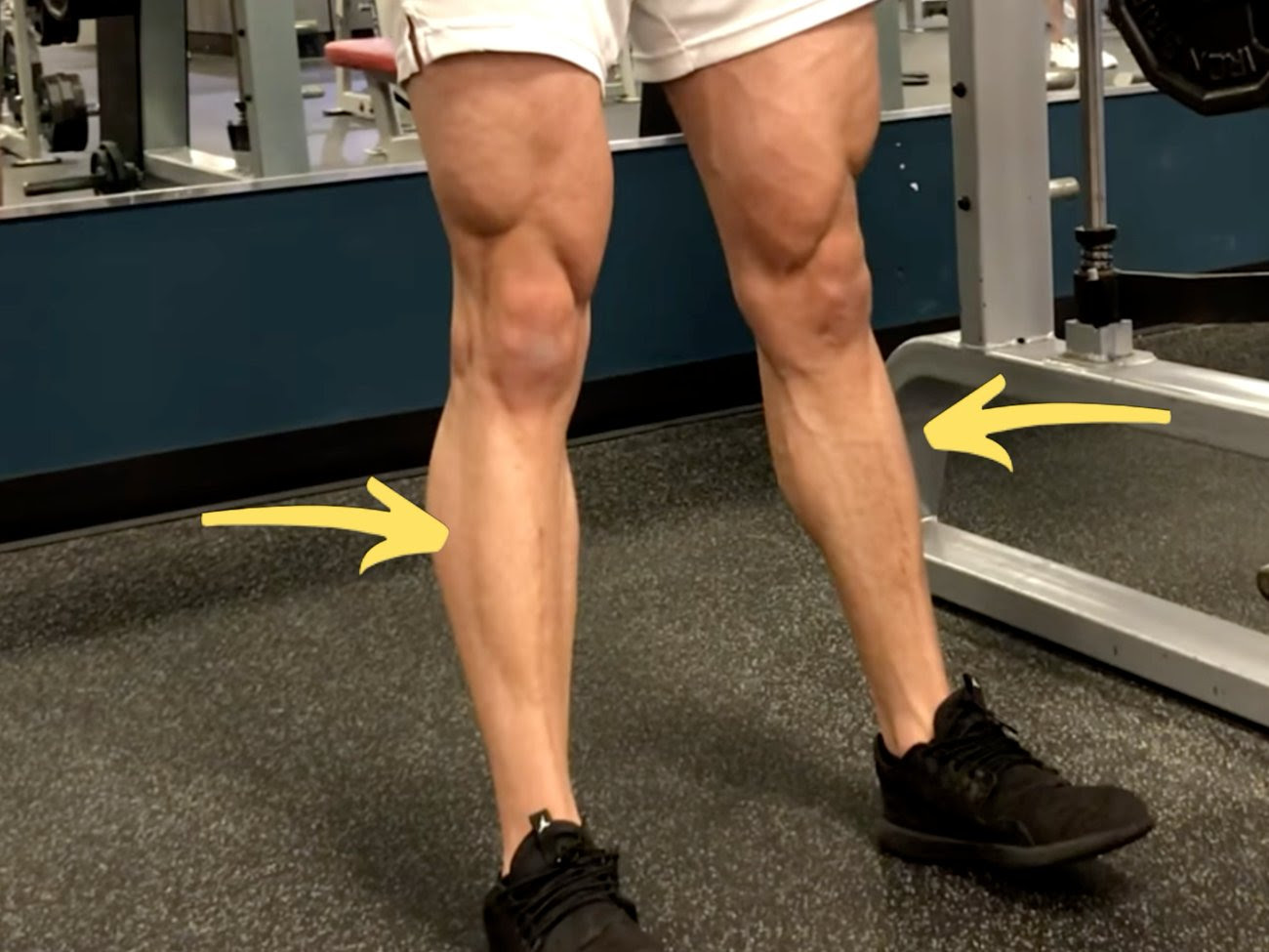 Underrated & Underworked Muscle: The Tibialis Anterior! – Dr. Gains