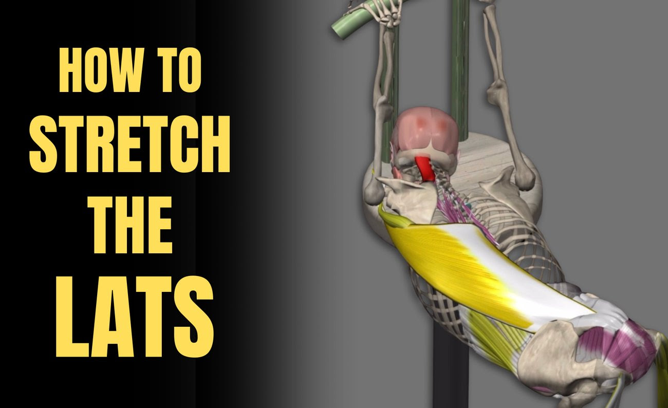 Why & How to Stretch Your Lats! – Dr. Gains