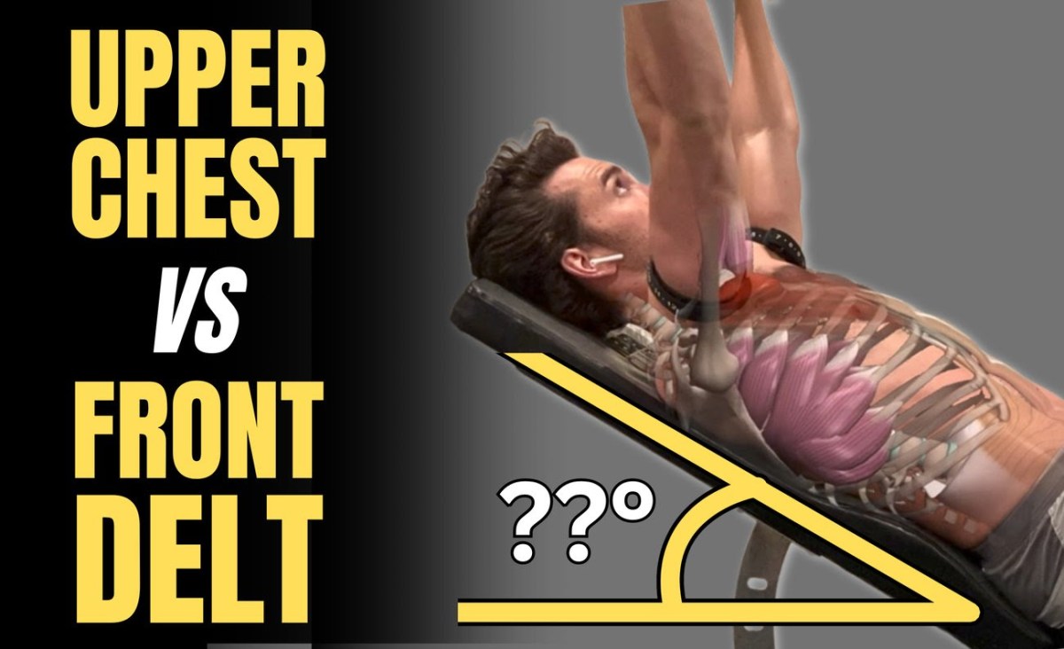 The Optimal Incline Press Angles for UPPER CHEST vs FRONT DELT – Dr. Gains