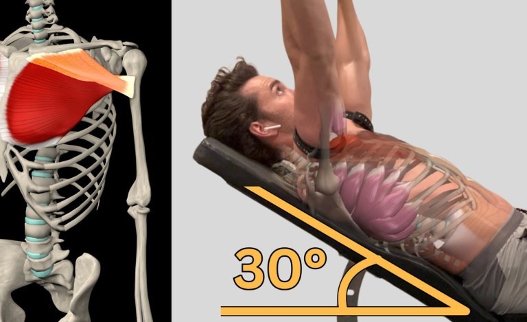 The Optimal Incline Press Angles for UPPER CHEST vs FRONT DELT – Dr. Gains